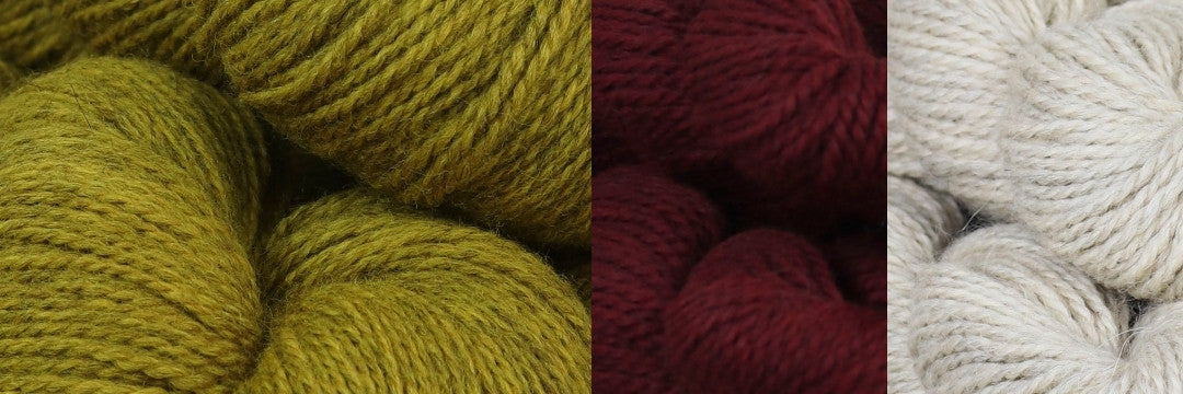 Festive Mistletoe Socks Kit – The Fibre Co.