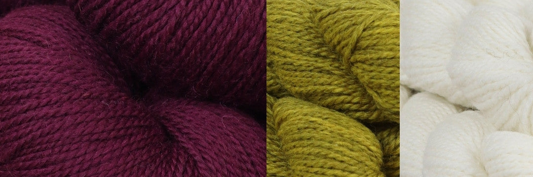 Festive Mistletoe Socks Kit – The Fibre Co.